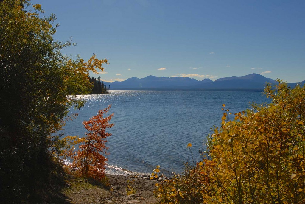 Location & Activities - Marsh Lake Yukon Cabins